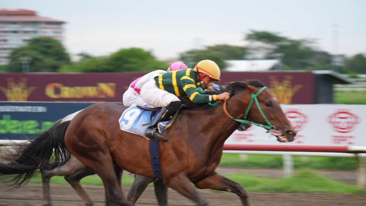 Clásico del Caribe 2023: ¿Cuáles son los horarios de las carreras?