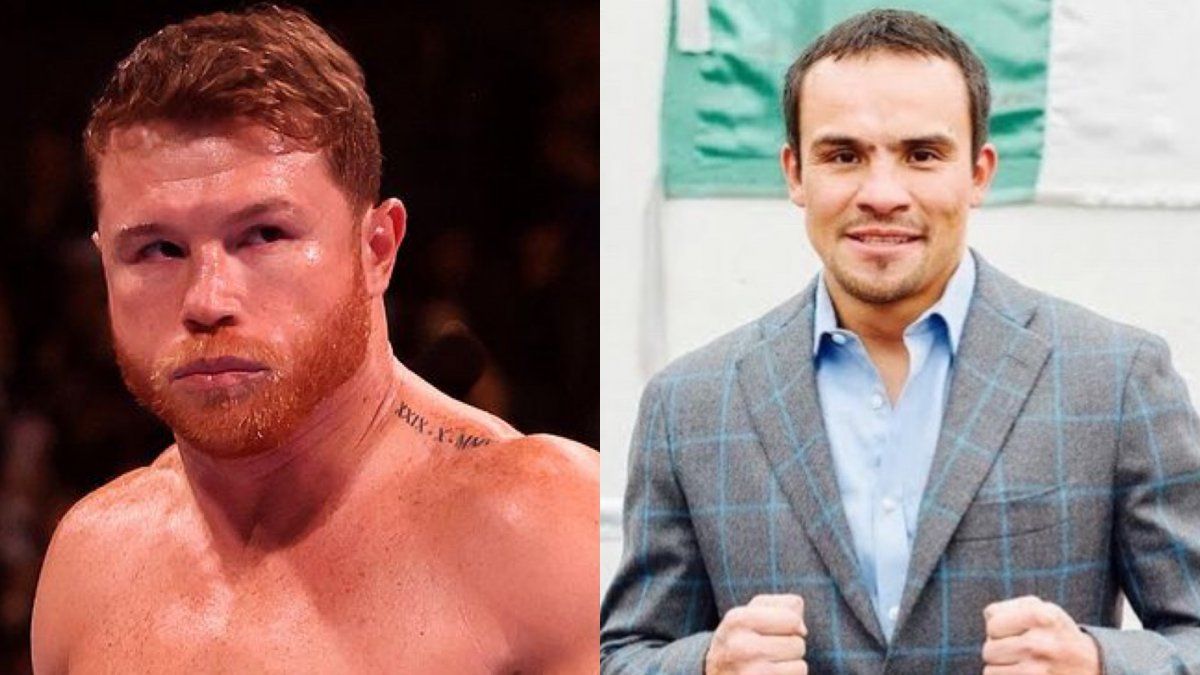 Juan Manuel Márquez habla de Canelo Álvarez y su decisión de no pelear ...