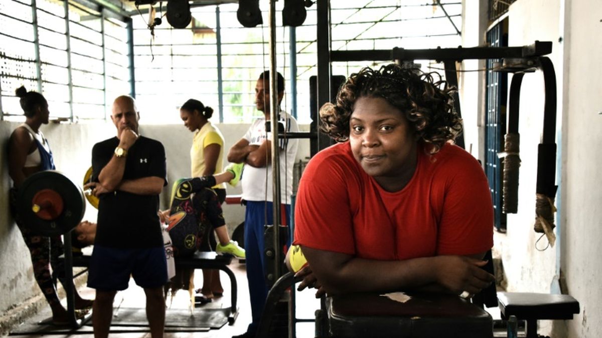 Medallistas olímpicos Mijaín López e Idalis Ortiz, deportistas del año ...